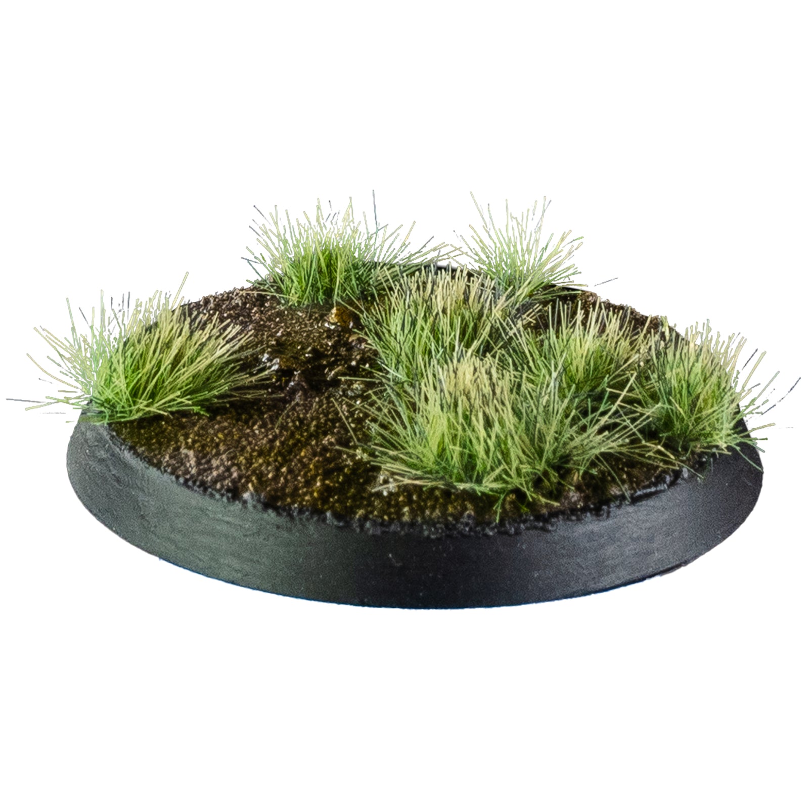 Basing Bundle: Swamps